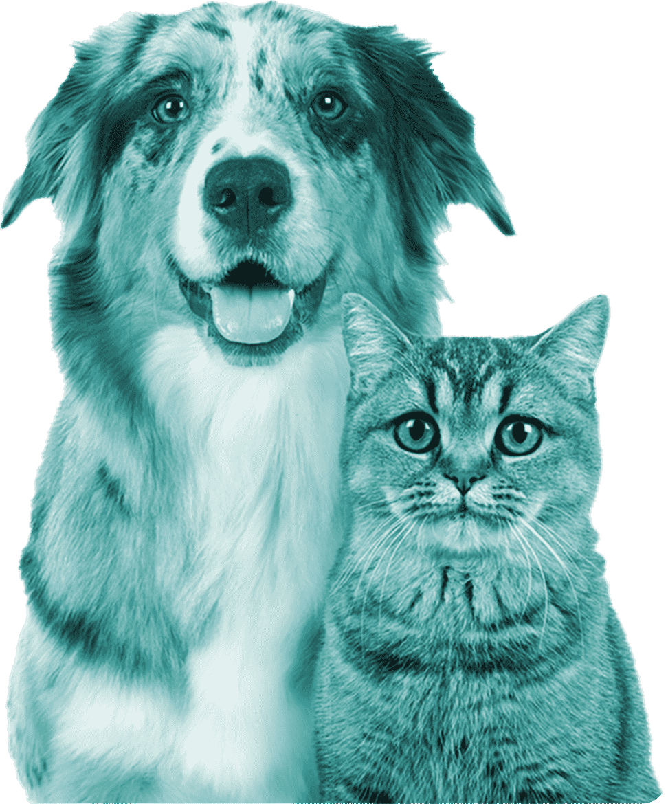 Our Team | Darwin's Ark