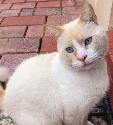 Pet of the month | Darwin's Ark