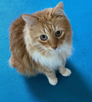 Pet of the month | Darwin's Ark