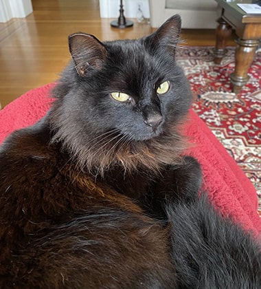 Pet of the month | Darwin's Ark