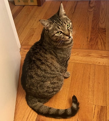 Pet of the month | Darwin's Ark